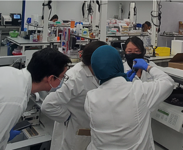 RNA Sequencing (RNA-seq) Services - SeqMatic
