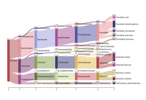 Bioinformatics Data Analysis Services - SeqMatic