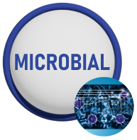 Whole Genome Sequencing Services - SeqMatic