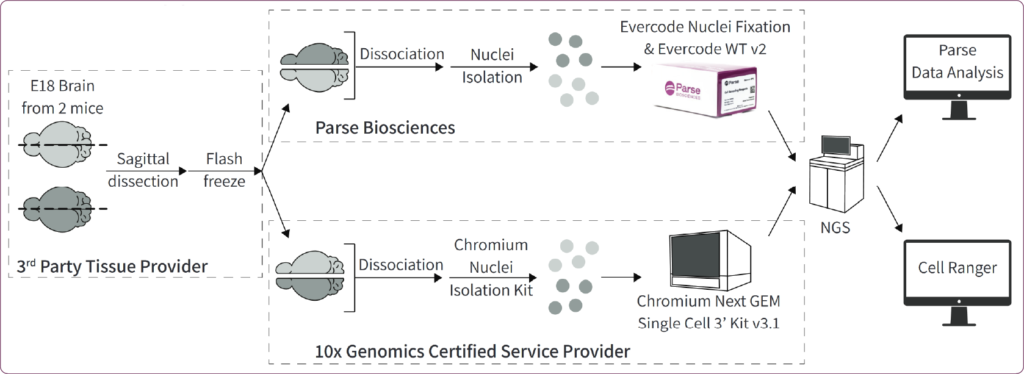 Parse Biosciences Seqmatic