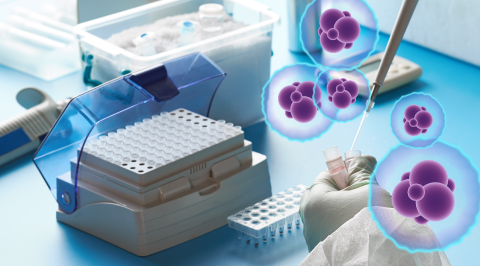 Single Cell RNA Sequencing Services - SeqMatic