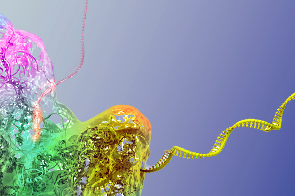 Bulk mRNA Sequencing Services - SeqMatic