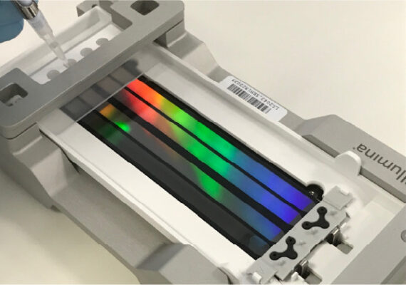 Pre-made Library Sequencing Services - SeqMatic